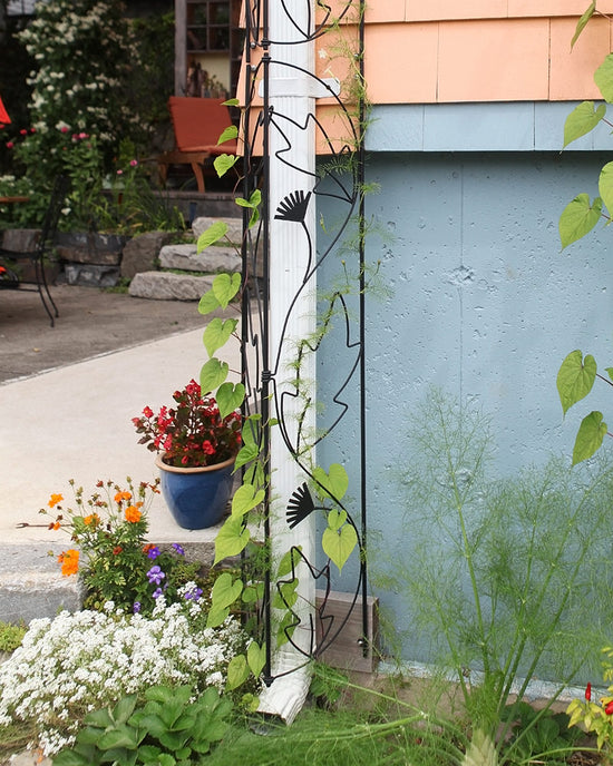 Downspout Trellis – Garden Luster